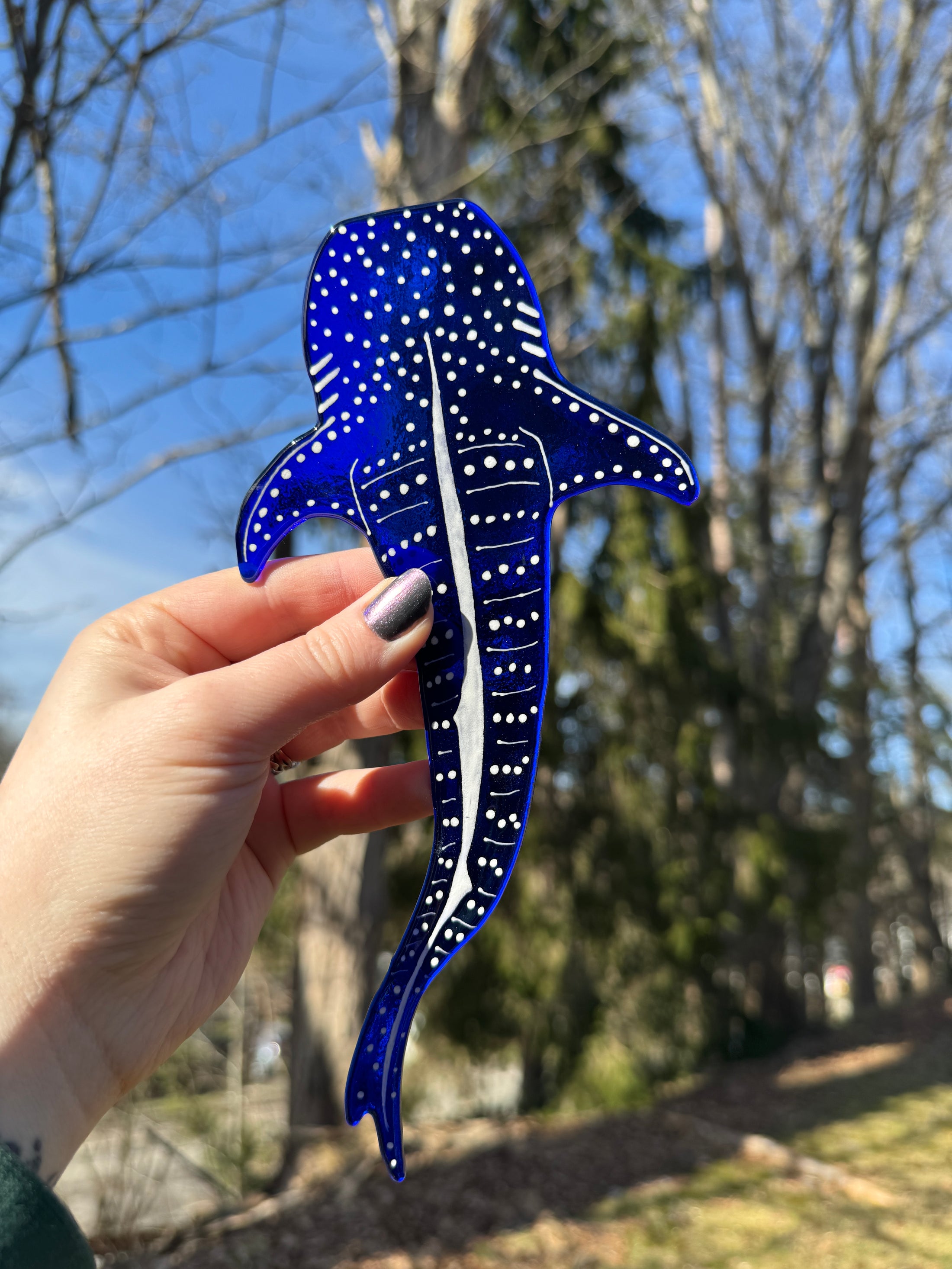 Whale Shark Suncatcher – sarahrozie